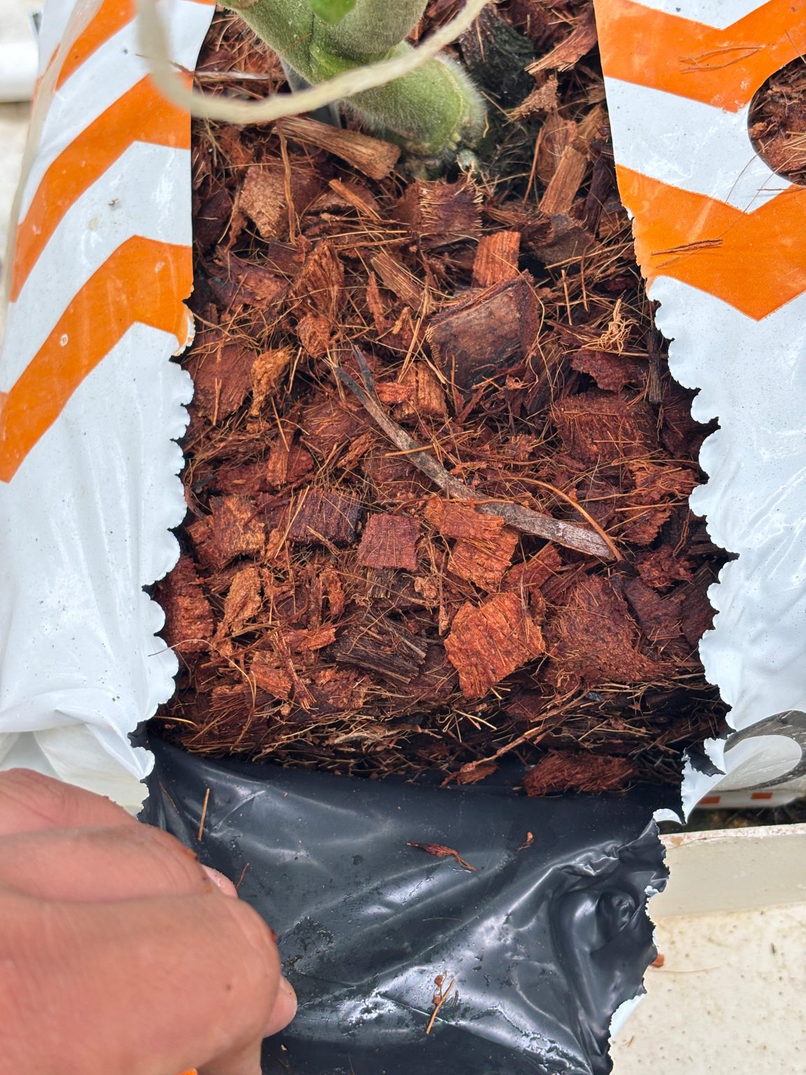 SLAB GROWING SYSTEM – DIDIHU